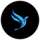 How to Get a Bluebird Express Refund | Chargeback