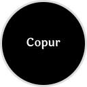 How to Cancel Your Copur Subscription (2025) | Chargeback