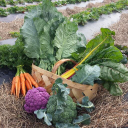 How to Cancel Your Local Fare Subscription (2025)