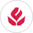 Is Lumiere University Tuition fraud? | Chargeback