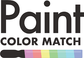 Is Match My Paint Color on my statement fraud? | Chargeback