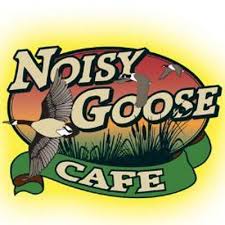 How to Get a Noisy Goose Refund: Step by Step | Chargeback