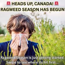 Is Pollen Experts Services fraud? | Chargeback