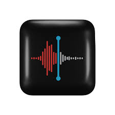 Is Voice Memo on my card statement fraud? | Chargeback