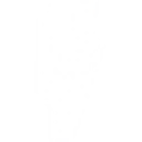 Is VIZOYA on my card statement fraud? | Chargeback